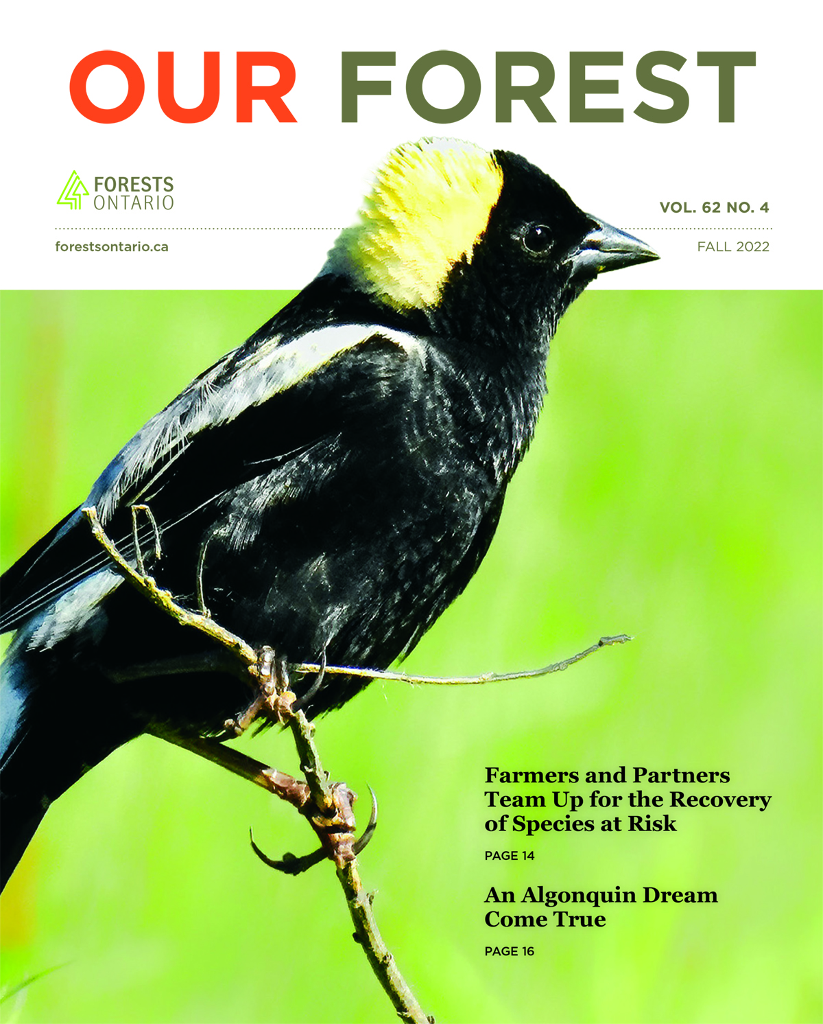 MLF featured in Our Forest magazine: "The Long Road" - Maple Leaves Forever